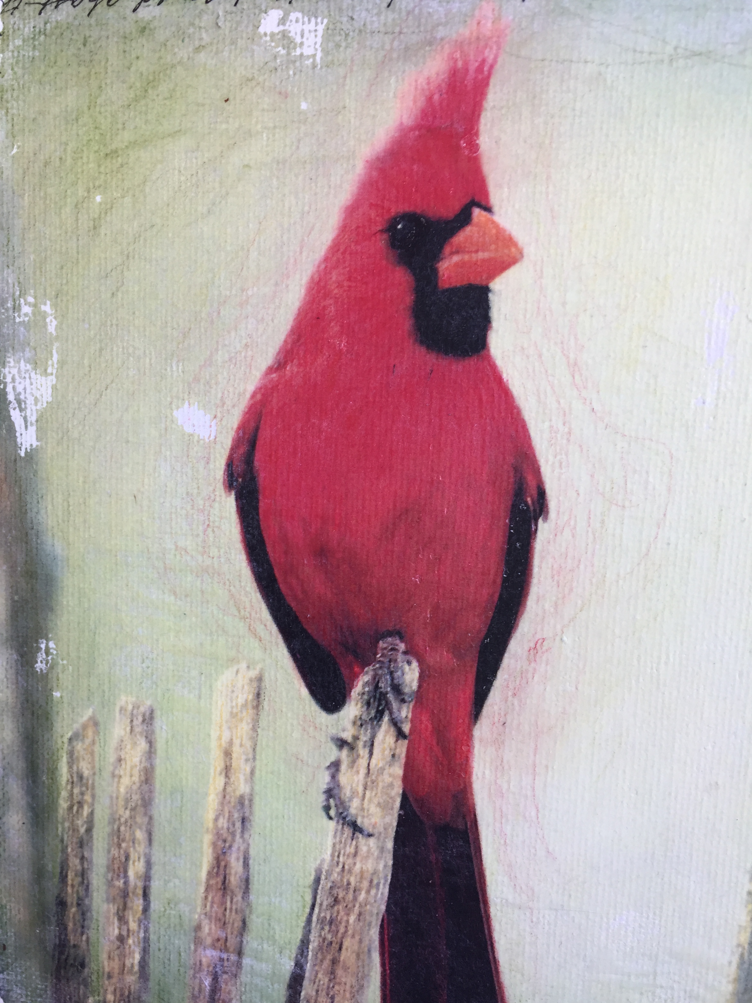 Where Hope Meets Justice | Nesting in Wonder